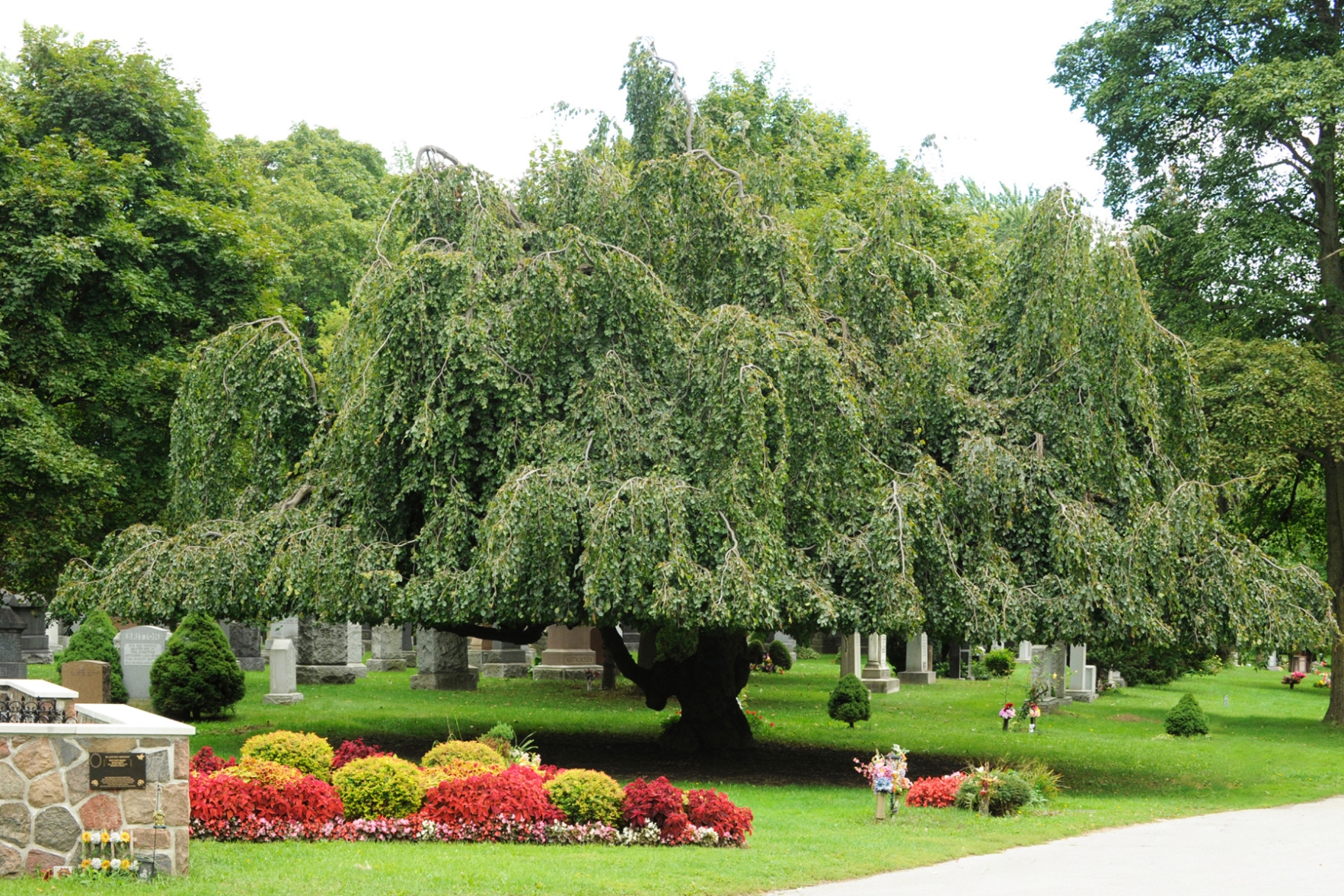 Prospect Cemetery – Toronto | Mount Pleasant Group