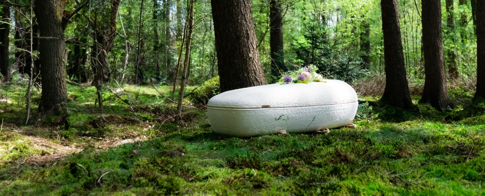 Caskets and Urns Made from Mushrooms | Mount Pleasant Group